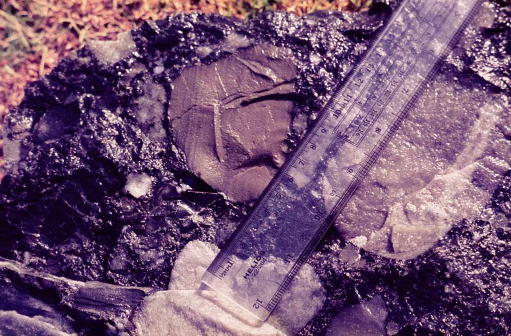 6. Sedimentation | Geological Introduction